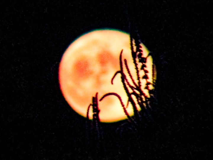 Moon sickness - Color-Blinded by Jeremy Mitchell - Photography ...