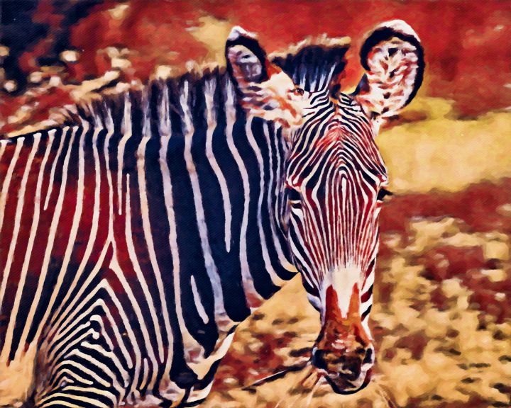 Colors of Africa - Susan Maxwell Schmidt | Art on the Edge ...