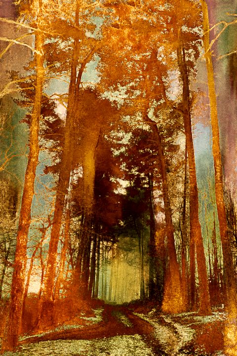 Autumnal Alchemy - Susan Maxwell Schmidt | Art on the Edge - Digital ...