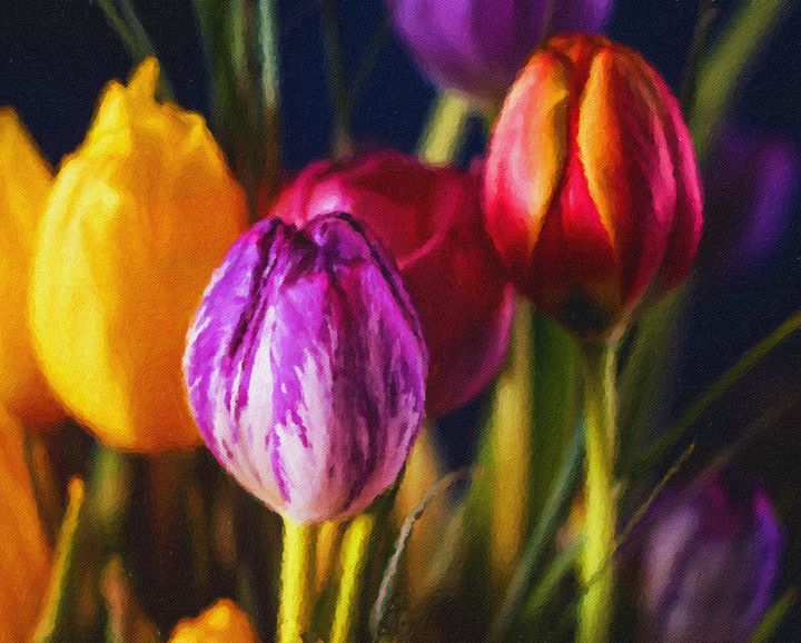 A Garden of Color - Susan Maxwell Schmidt | Art on the Edge - Digital ...