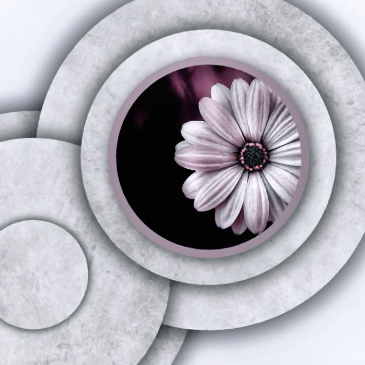 Dream Daisy - Susan Maxwell Schmidt | Art on the Edge - Digital Art ...