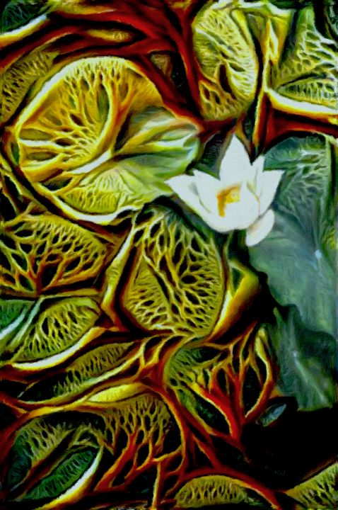 Lotus - Susan Maxwell Schmidt | Art on the Edge - Paintings & Prints ...