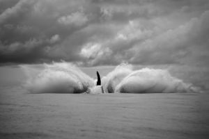 Matt Walch - Photography