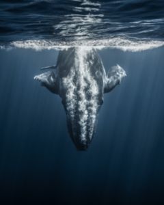 Matt Walch - Photography