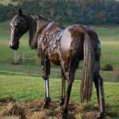 Archinas - Paintings & Prints, Photography