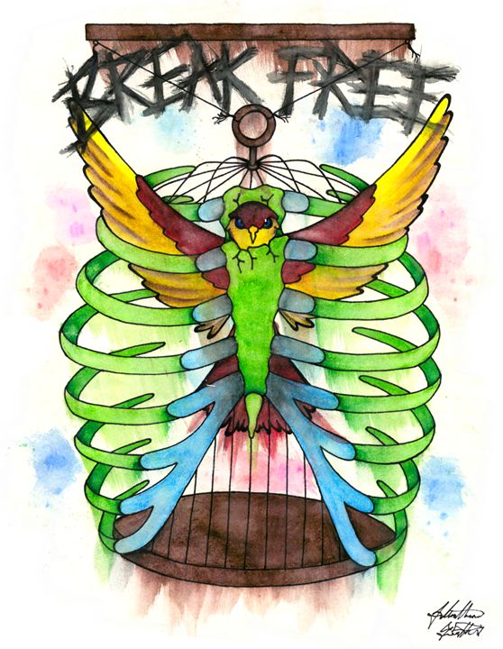 Original Bird Flash Art - Frisco Art - Paintings & Prints, Animals ...