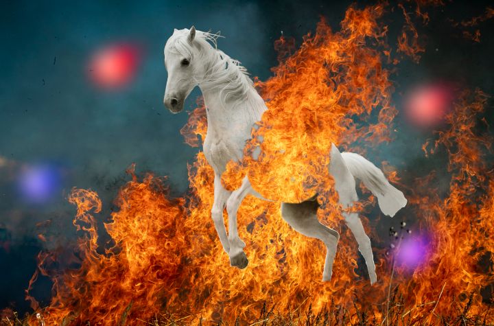 A burning horse of Arabian blood. - Photoshop - Digital Art & AI ...