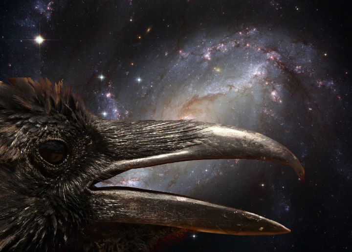 Space raven - Photoshop - Digital Art & AI, Astronomy & Space, Planets ...