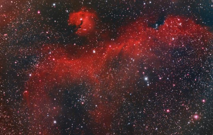 The Seagull Nebula - QC Roo Photography - Photography, Astronomy ...
