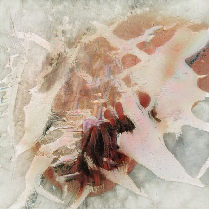 Kelly Gatta - Paintings & Prints