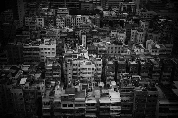 Life in a shell - Photography