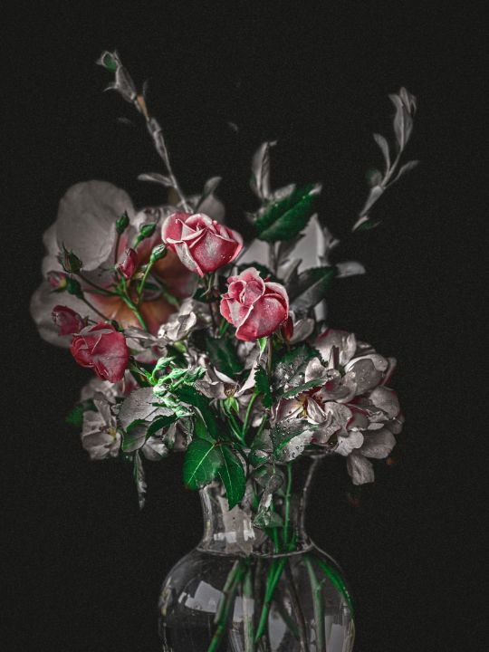 Remembrance - Christine Allison - Photography, Flowers, Plants, & Trees ...