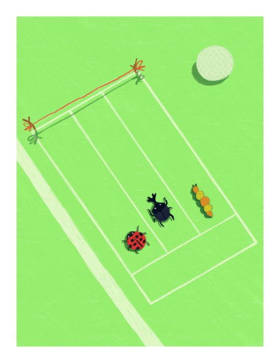 Racing Bugs - sunlit morning - Drawings & Illustration, Animals, Birds ...