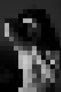 Greg Schuler - Photography