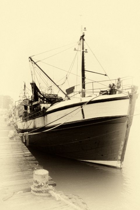 Fishing Boat. - Elizabeth - Photography, Landscapes & Nature, Beach ...