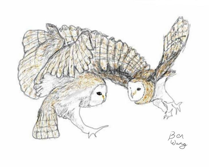 Two owls in flight - ArtworksBay - Digital Art, Animals, Birds, & Fish ...