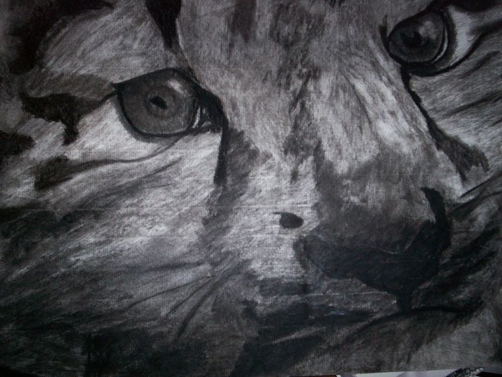 Portrait Hart Studios - Drawings & Illustration, Paintings & Prints