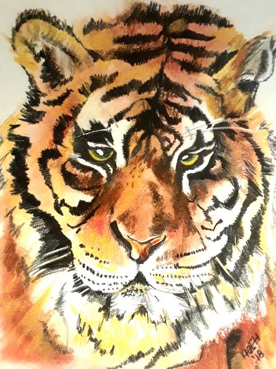 Liger - Kristal Melody Art - Drawings & Illustration, Animals, Birds ...