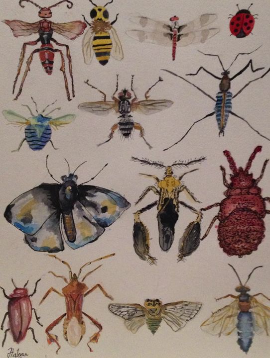 Hatoon - Paintings & Prints