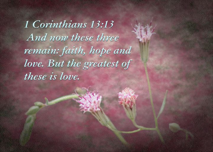 1 Corinthians 13:13 Pink Wild Flower - ButterflyInTheAttic ...