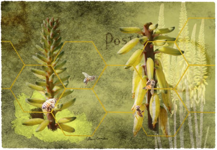 Bees on Yucca Plants Mixed Media - ButterflyInTheAttic - Photography ...