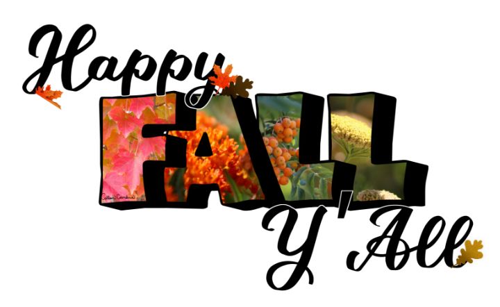 Happy Fall Big Letter Digital Art - ButterflyInTheAttic - Digital Art ...