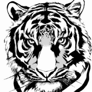 Tigger Black And White