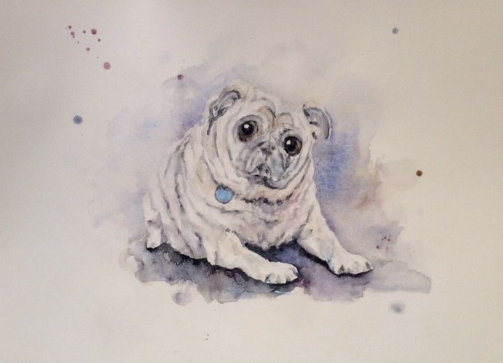 Sue Rimmer - Paintings & Prints