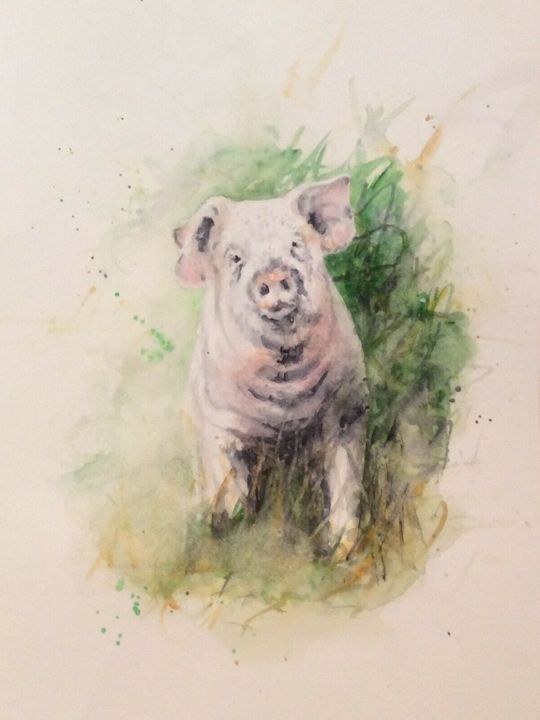 Original Pig Watercolour Painting - Sue Rimmer - Paintings & Prints ...