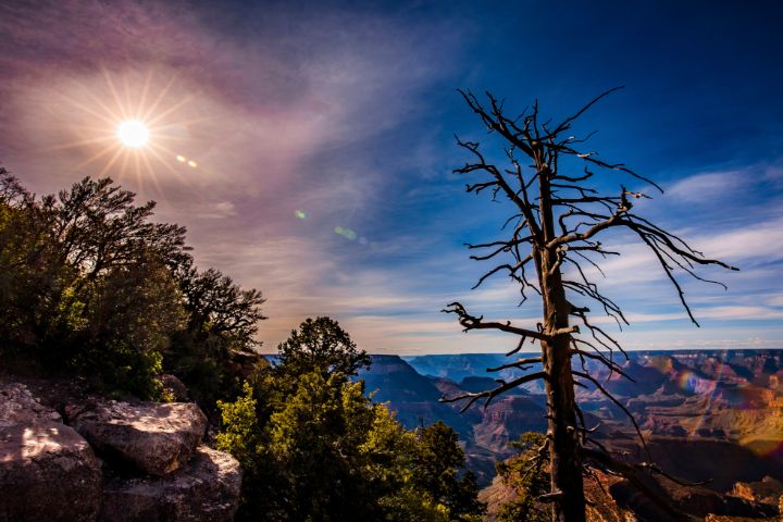 Grand Canyon Sunburst and Snag - Mike Lee - Photography, Landscapes ...