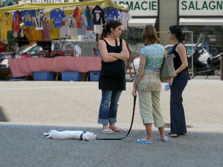 Boredom threshold exceeded! - Rod Jones Photography - Photography ...