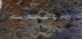 Copper rose - Pourin’ fluid colors - Paintings & Prints, Abstract ...