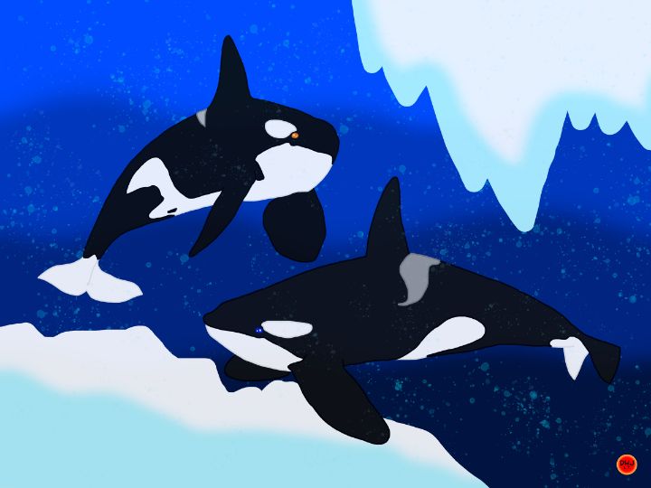 Orca Brothers - DWJ Little Tanuki - Digital Art & AI, Animals, Birds ...