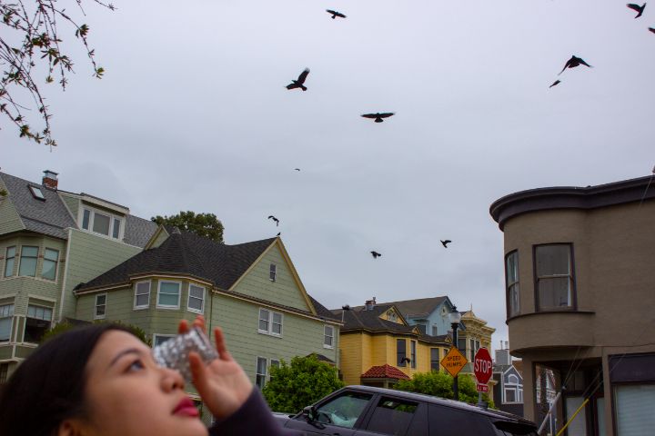 Blurred gaze from Afar - Izzy Curtis - Photography, People & Figures ...