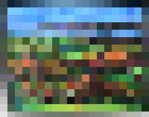 Sunlight After Storm in Fall - Mark S. Fox - Paintings & Prints ...