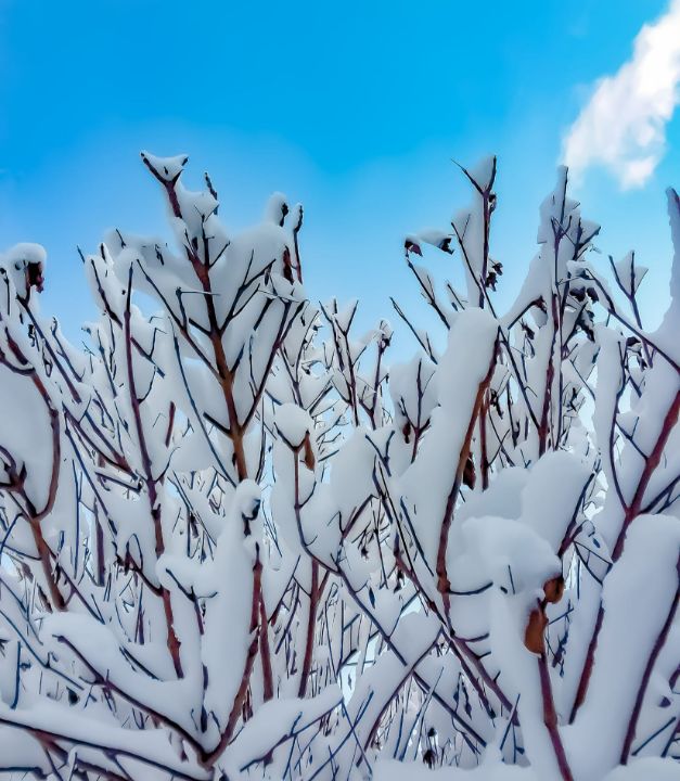 sun and snow - WallArtOfMio - Photography, Landscapes & Nature, Seasons ...