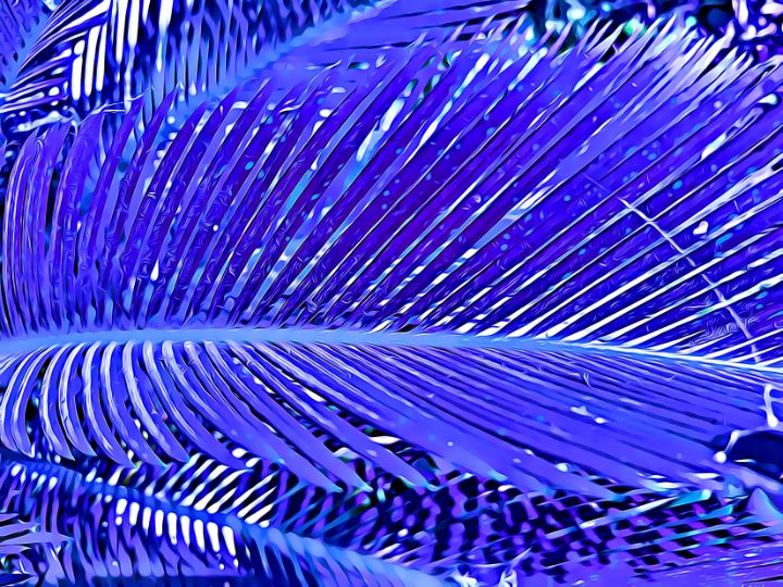 Blue palm leaf - WallArtOfMio - Drawings & Illustration, Flowers ...
