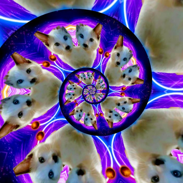 A Thousand Portrait Of A Cat - Beautiful creations - Digital Art & AI ...
