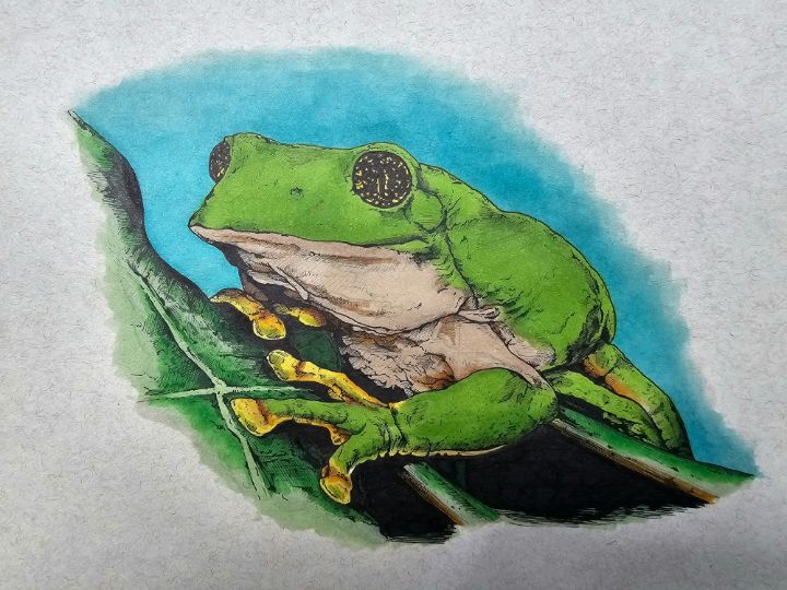 Just Chillin - Timothy M - Drawings & Illustration, Animals, Birds ...