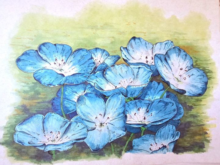 Timothy M - Drawings & Illustration, Paintings & Prints