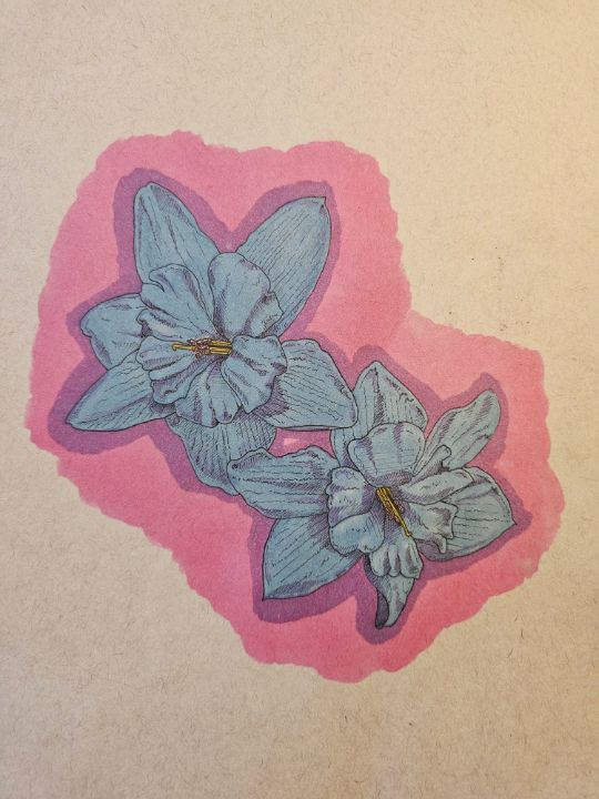 Flowers - Timothy M - Drawings & Illustration, Flowers, Plants, & Trees ...