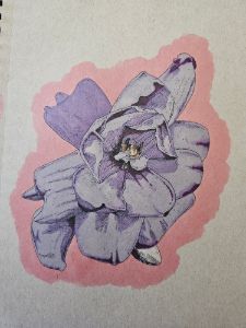 Timothy M - Drawings & Illustration, Paintings & Prints