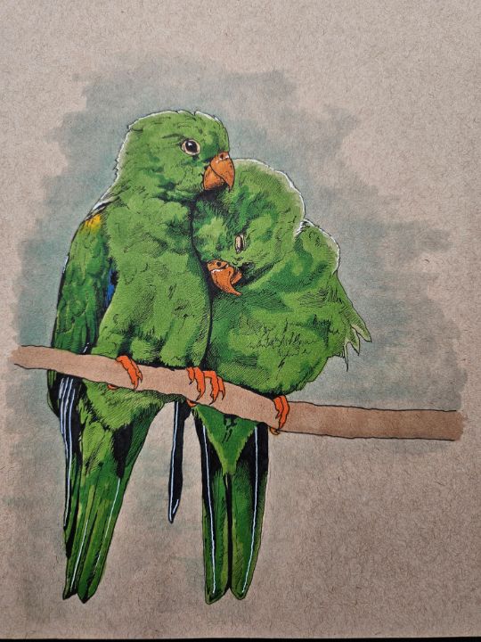 Love - Timothy M - Drawings & Illustration, Animals, Birds, & Fish ...
