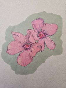 Timothy M - Drawings & Illustration, Paintings & Prints