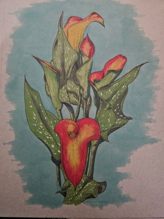 Timothy M - Drawings & Illustration, Paintings & Prints