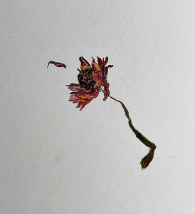 Marcus Marchant's available portfolio - Drawings & Illustration ...