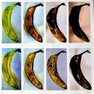 Marcus Marchant's available portfolio - Drawings & Illustration ...