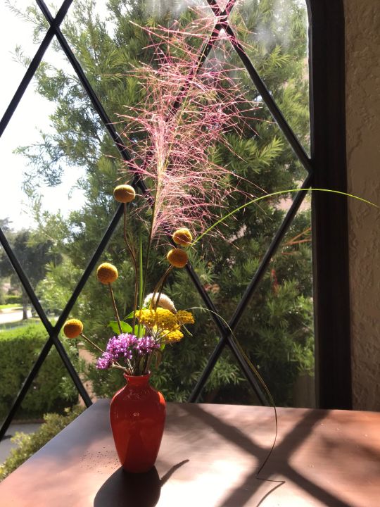 Pink Muhly+Yellow Pom Poms & Shadows - BrynDJ Art - Photography ...