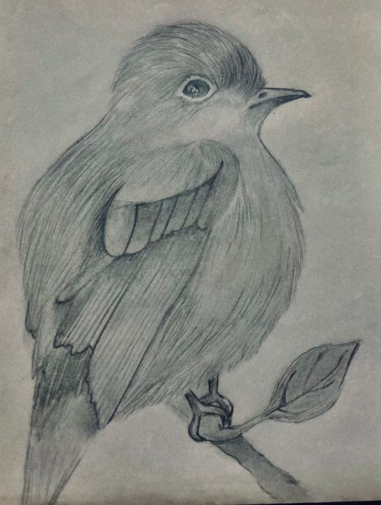 HKX - Drawings & Illustration