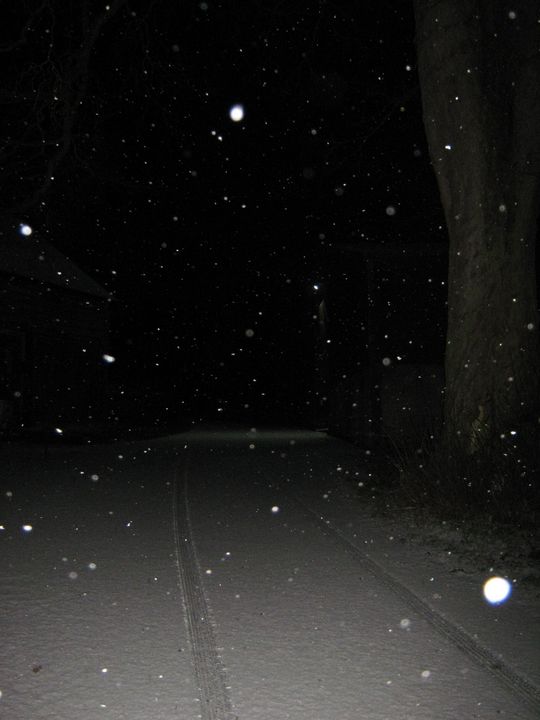 Snowy night - nature's window - Photography, Landscapes & Nature ...